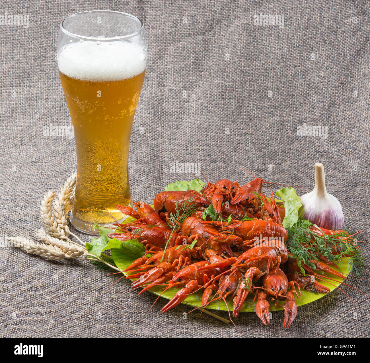 crayfish with a glass of cold beer Stock Photo - Alamy