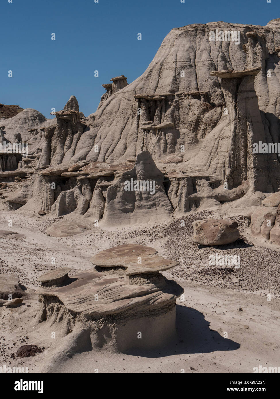 Hoodoos, Bisti Badlands, Bisti/De-Na-Zin Wilderness Area south of ...