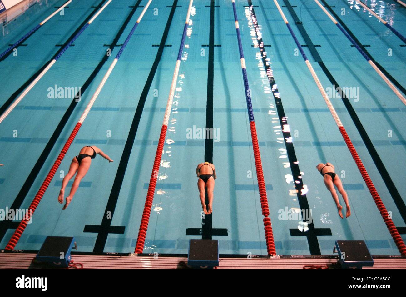 The competitors dive into the pool for the start of a race Stock Photo ...