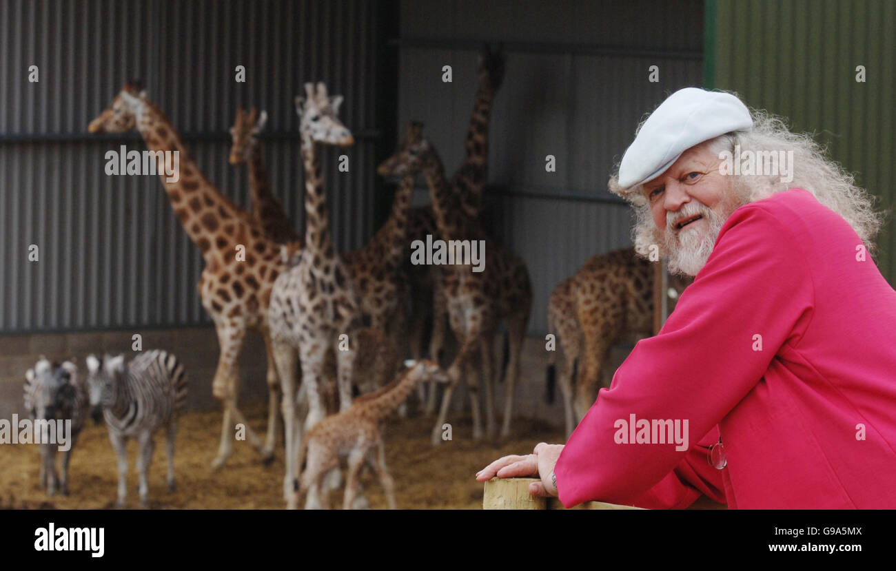 Longleat safari park lord bath hi-res stock photography and images - Alamy