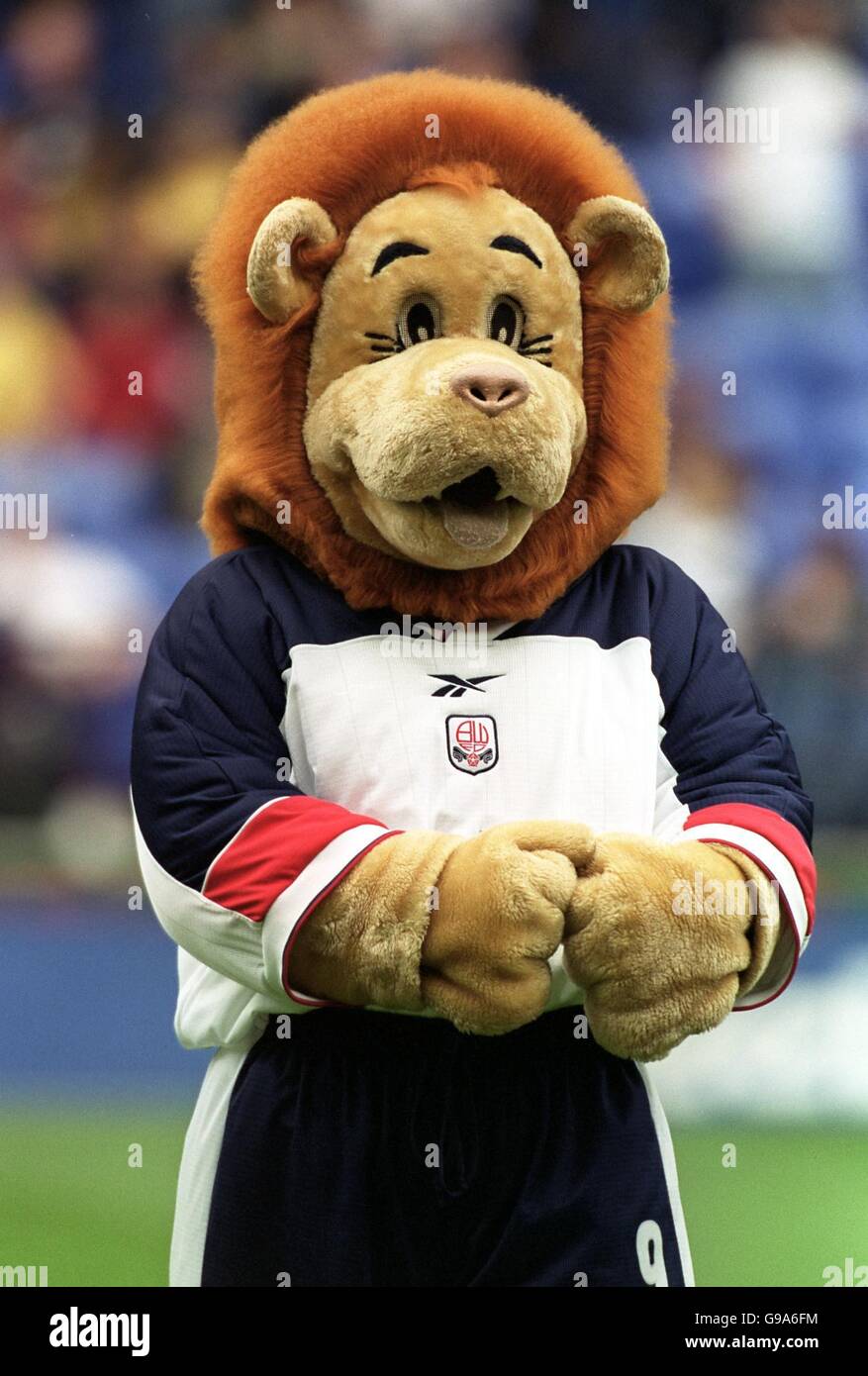 Lofty the lion hi-res stock photography and images - Alamy