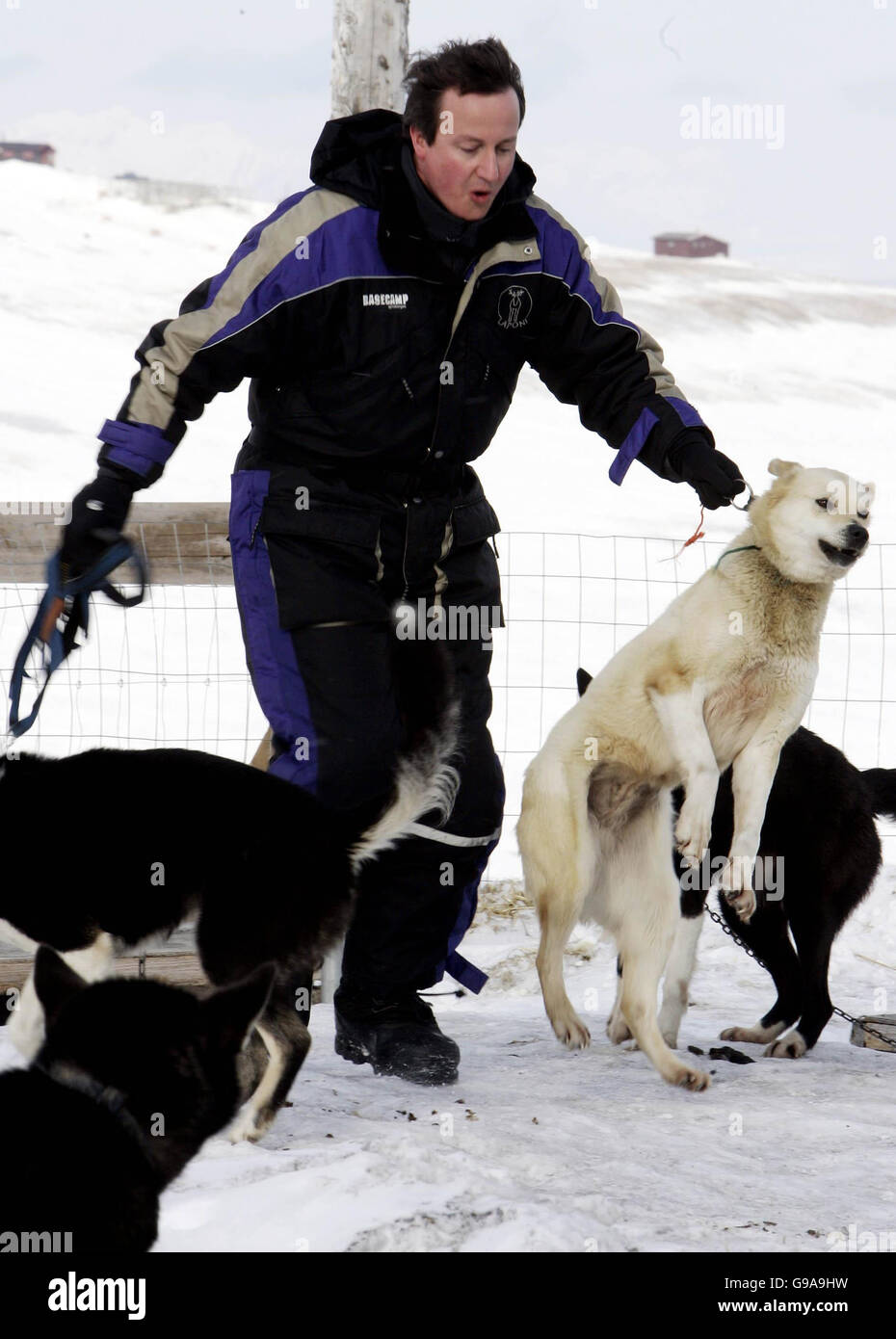 Leader of the Conservative Party David Cameron organises husky dogs on ...