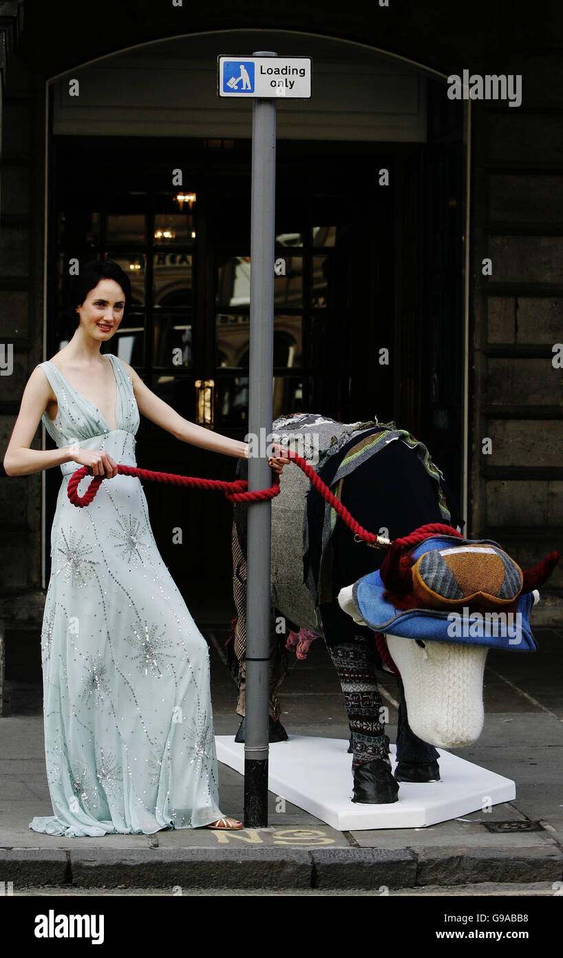 Jane davidson hi-res stock photography and images - Alamy