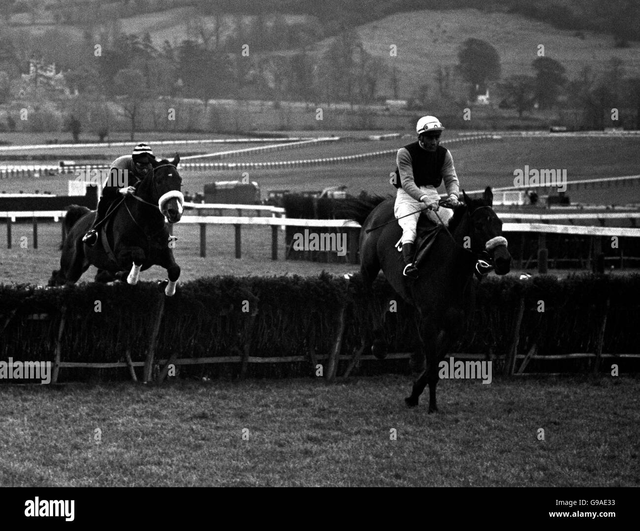 Persian war cheltenham hi-res stock photography and images - Alamy