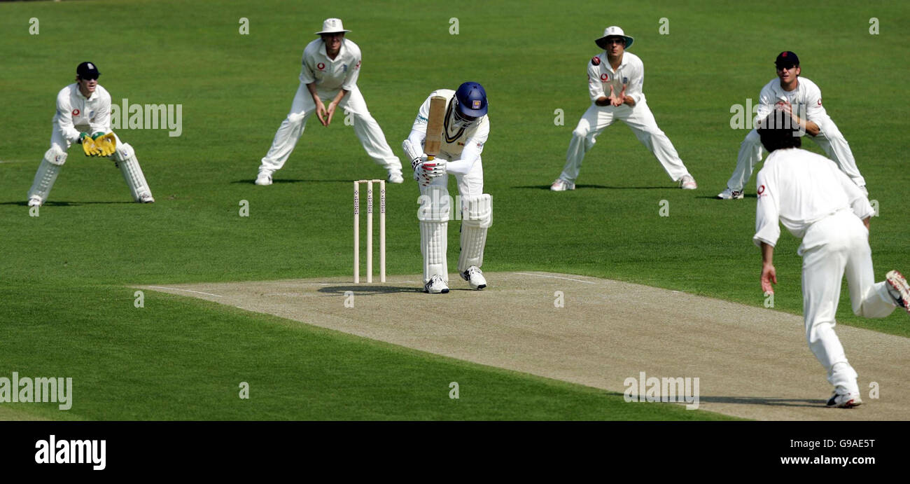 Sri lankas michael vandort hi-res stock photography and images - Alamy