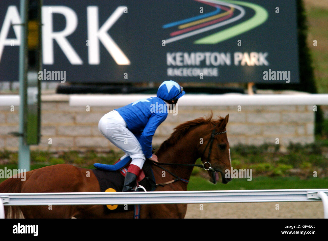 Horses go to post at kempton park hi-res stock photography and images ...