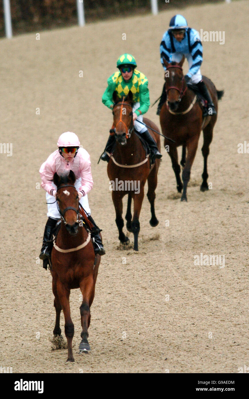 Horses go to post at kempton park hi-res stock photography and images ...