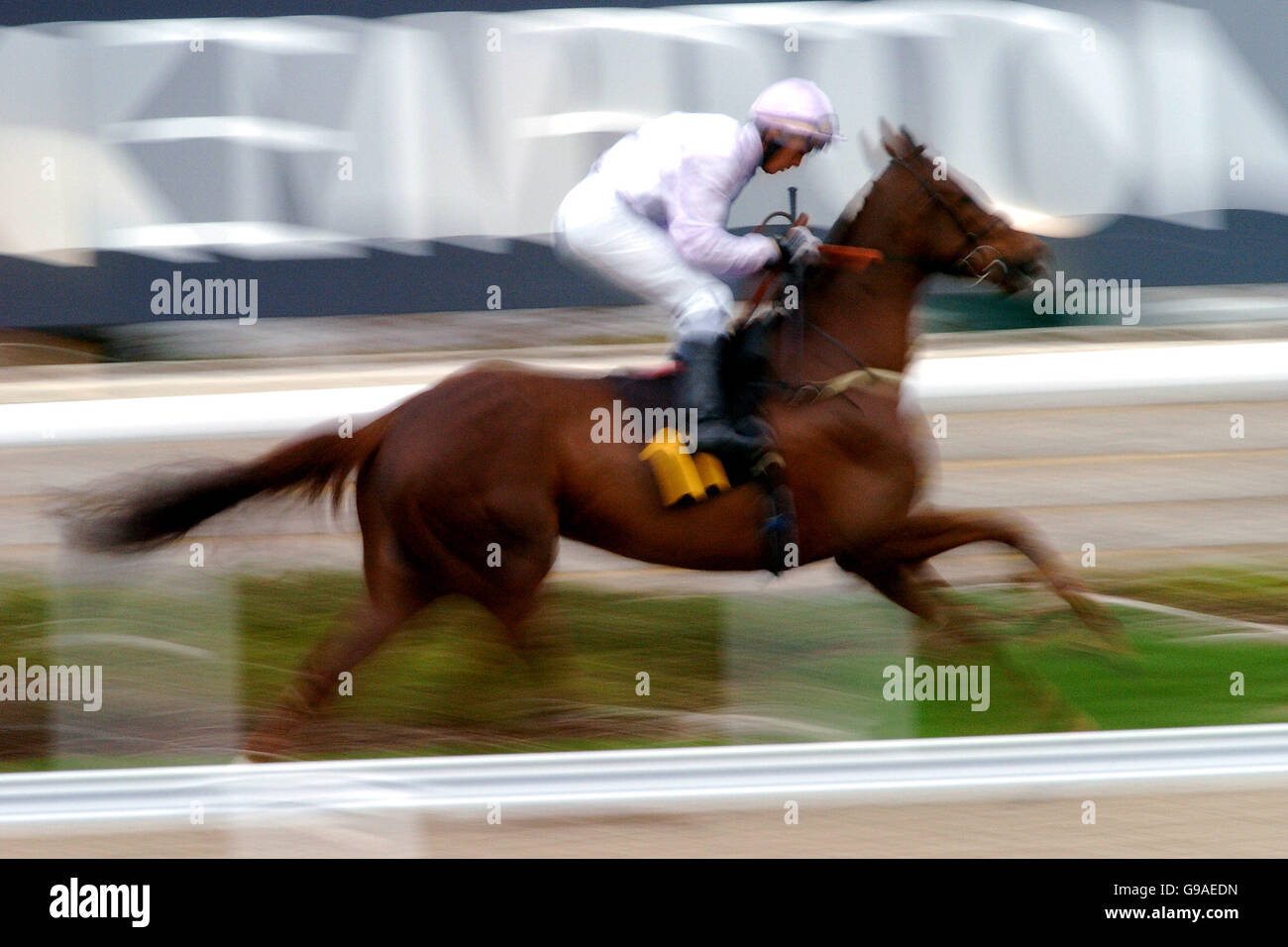 Spring festival evening racing hi-res stock photography and images - Alamy