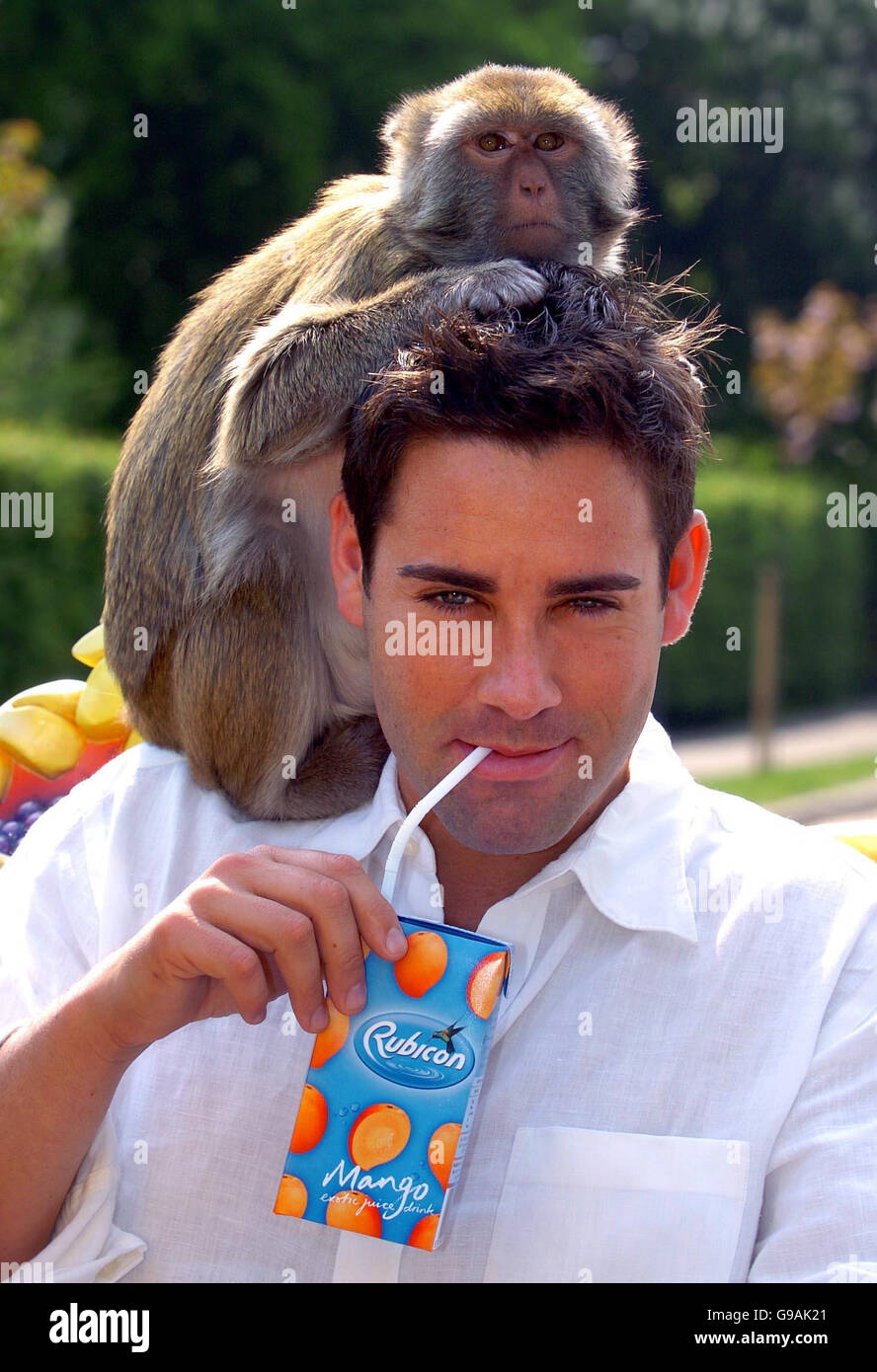 Rubicon drink hi-res stock photography and images - Alamy