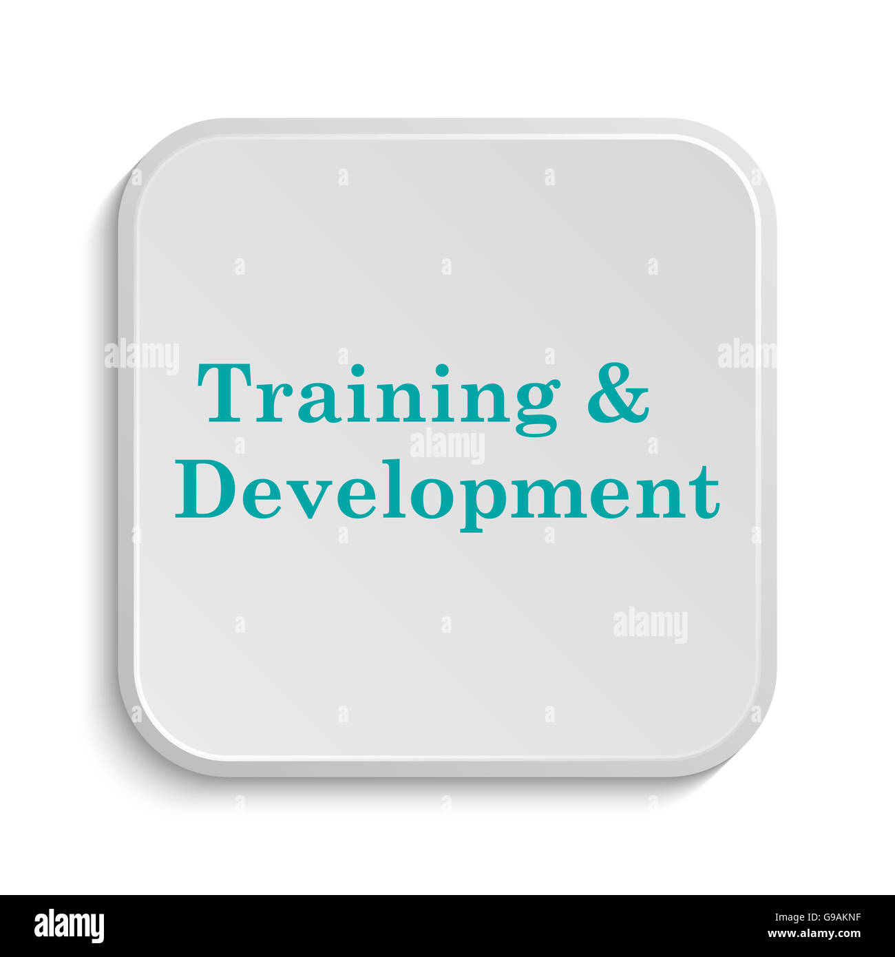 Training and development icon. Internet button on white background ...