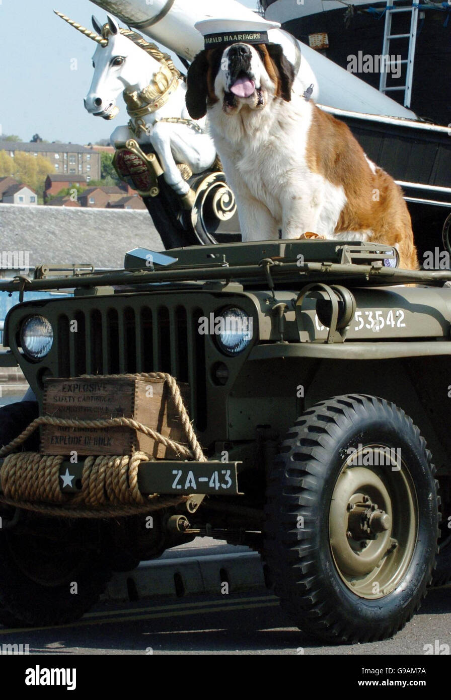 In honour of Bamse the heroic Norwegian Sea Dog who was stationed in ...