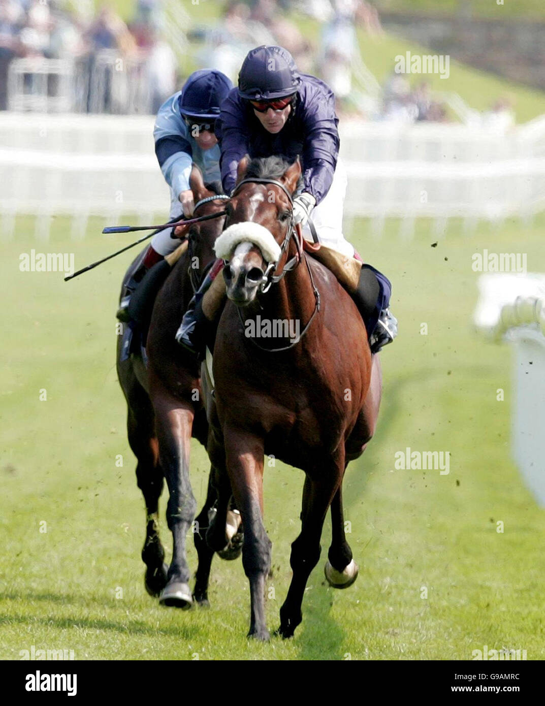 The mbna europe bank chester vase hi-res stock photography and images ...