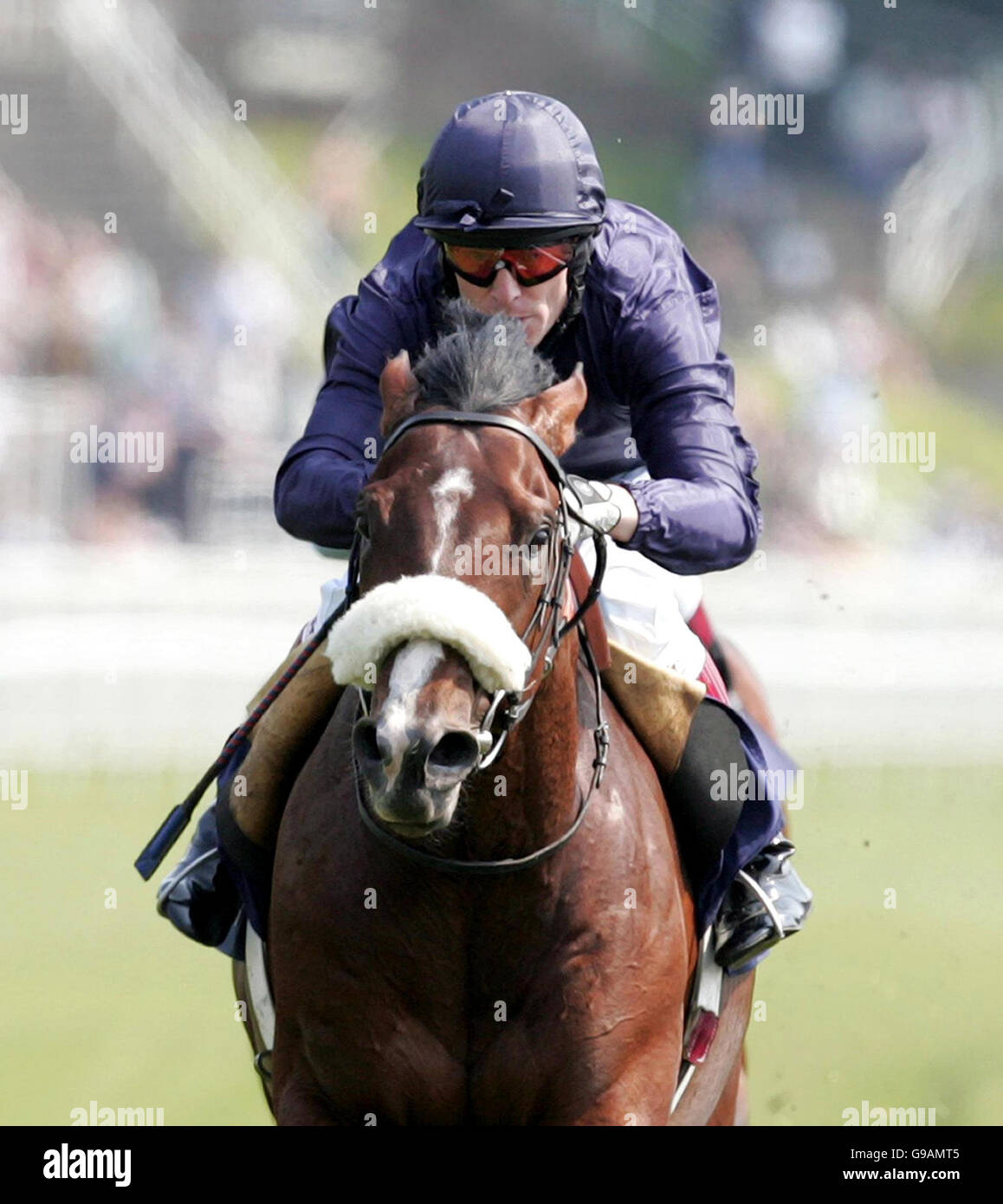 The mbna europe bank chester vase hi-res stock photography and images ...