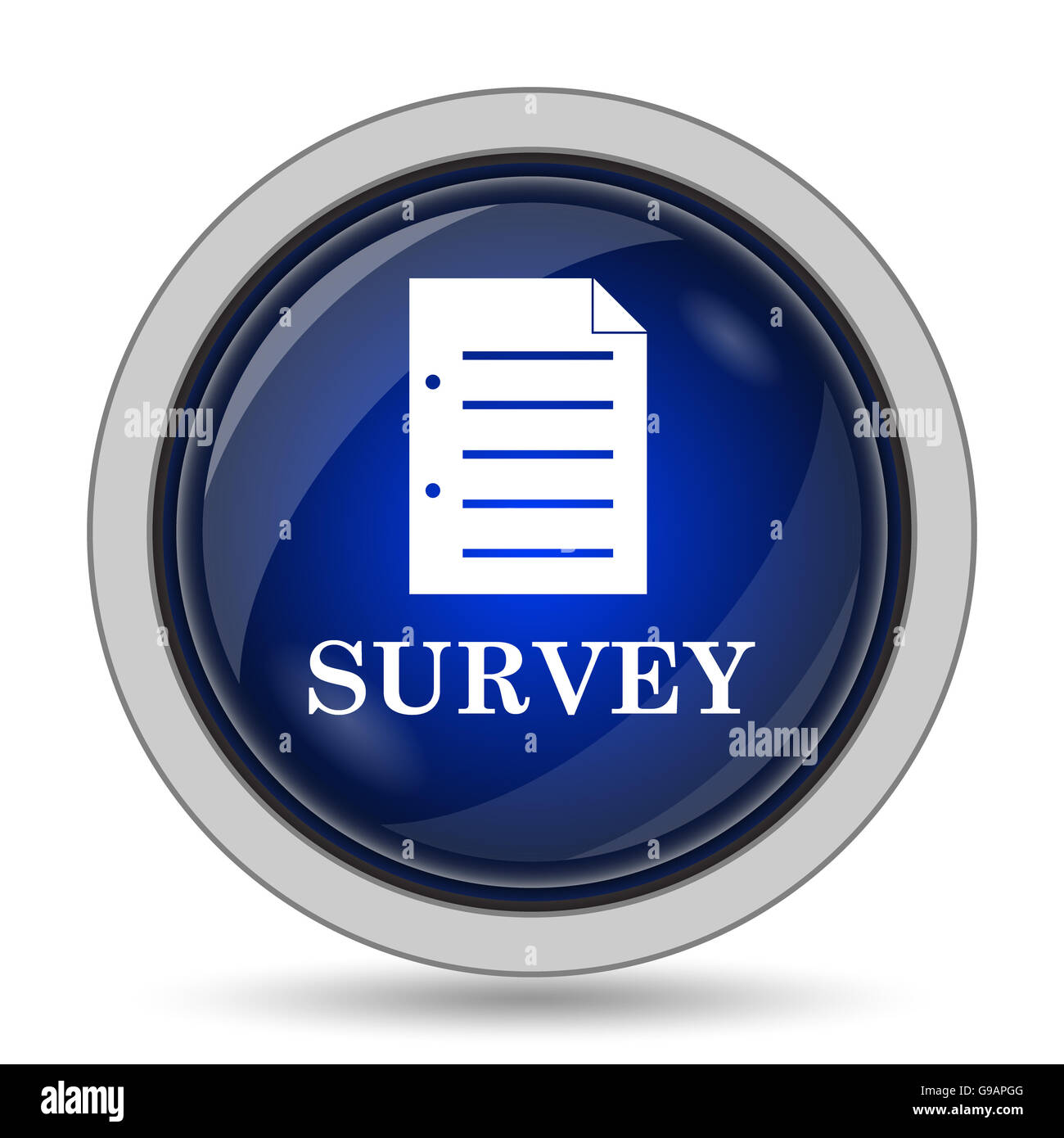 Survey icon. Internet button on white background Stock Photo - Alamy