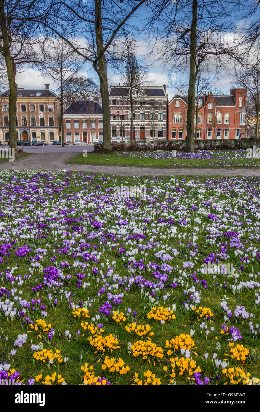 Ossenmarkt hi-res stock photography and images - Alamy