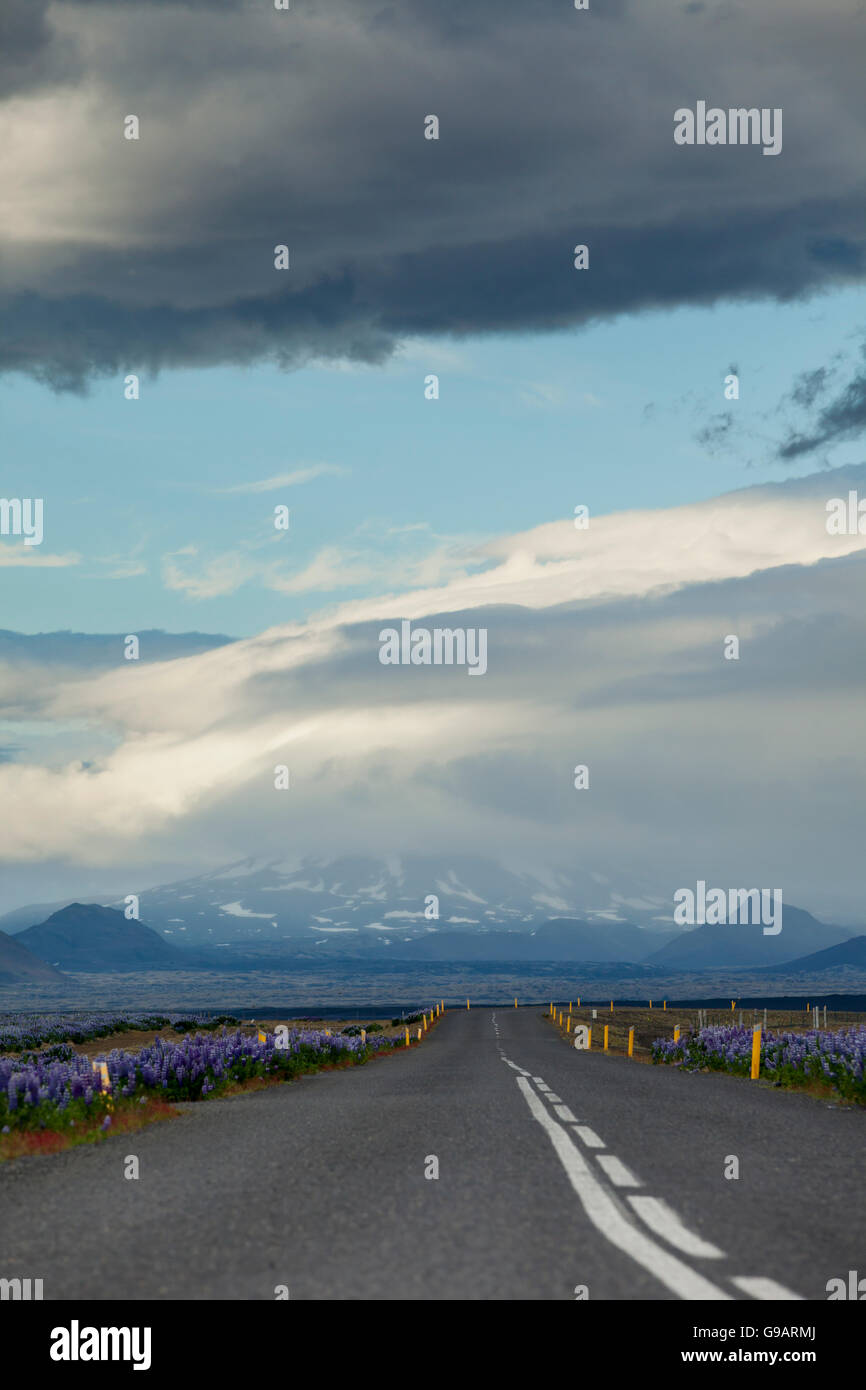 Road leading through vast Icelandic landscape Stock Photo - Alamy