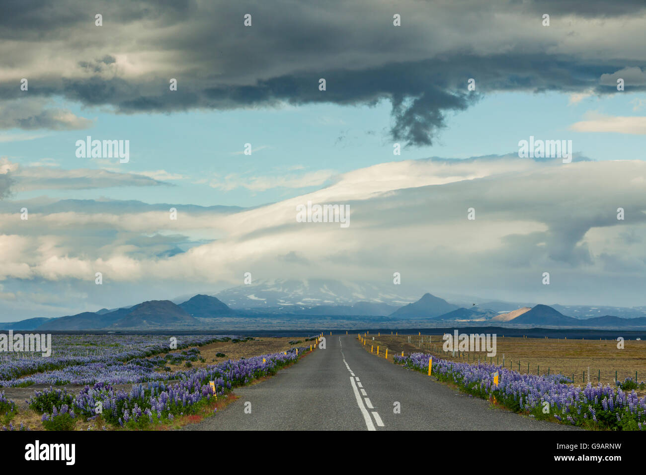 Road leading through vast Icelandic landscape Stock Photo - Alamy