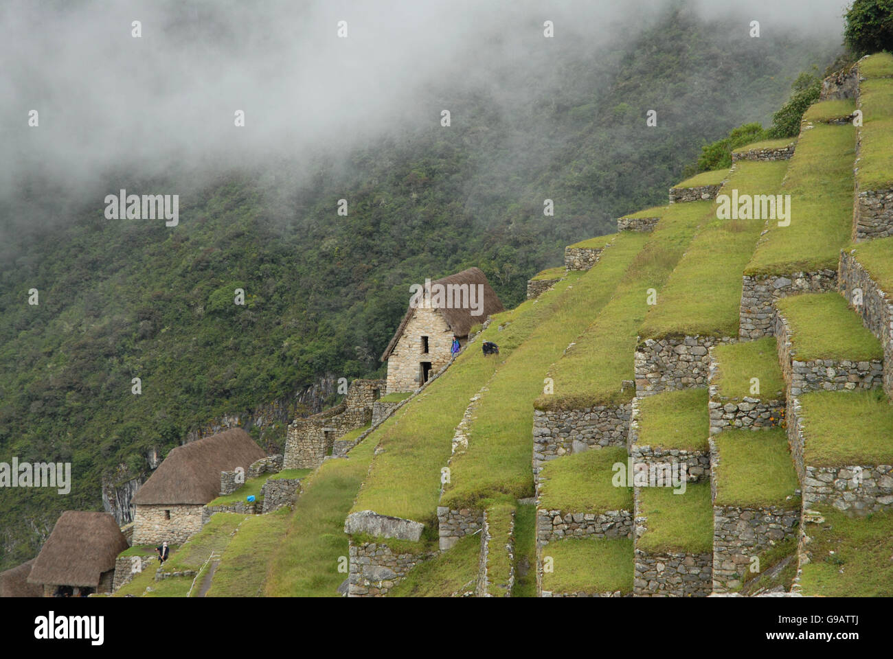 Agricultural terraces peru pre inca hi-res stock photography and images ...