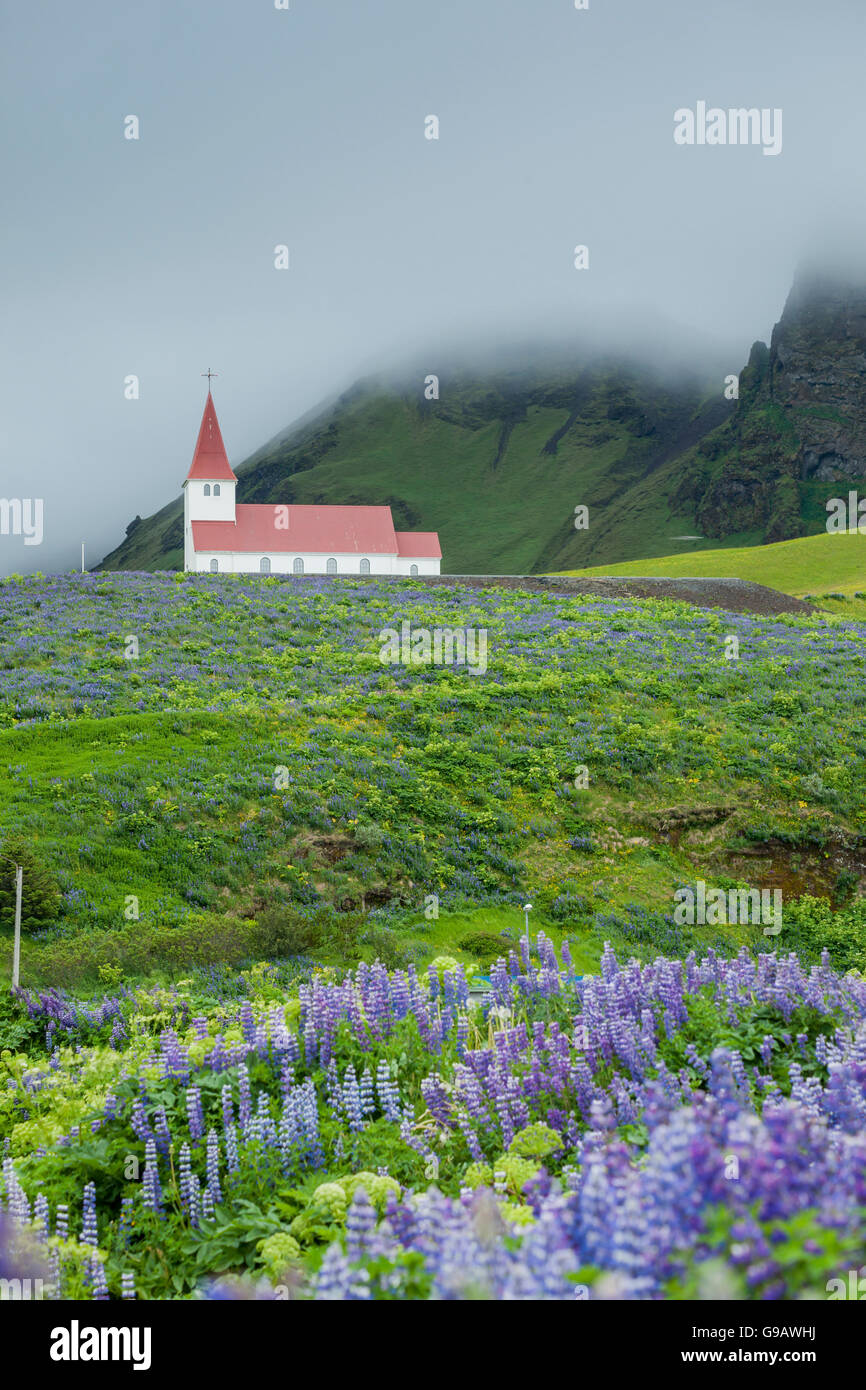 The iconic church in Vik, Iceland Stock Photo - Alamy