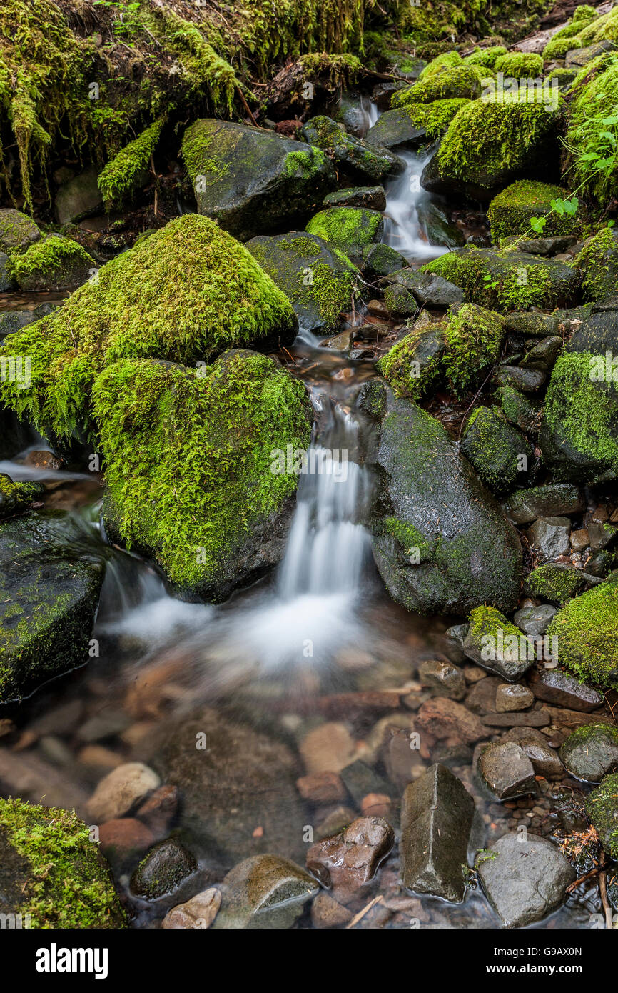 Small cascade through mossy rocks Stock Photo - Alamy