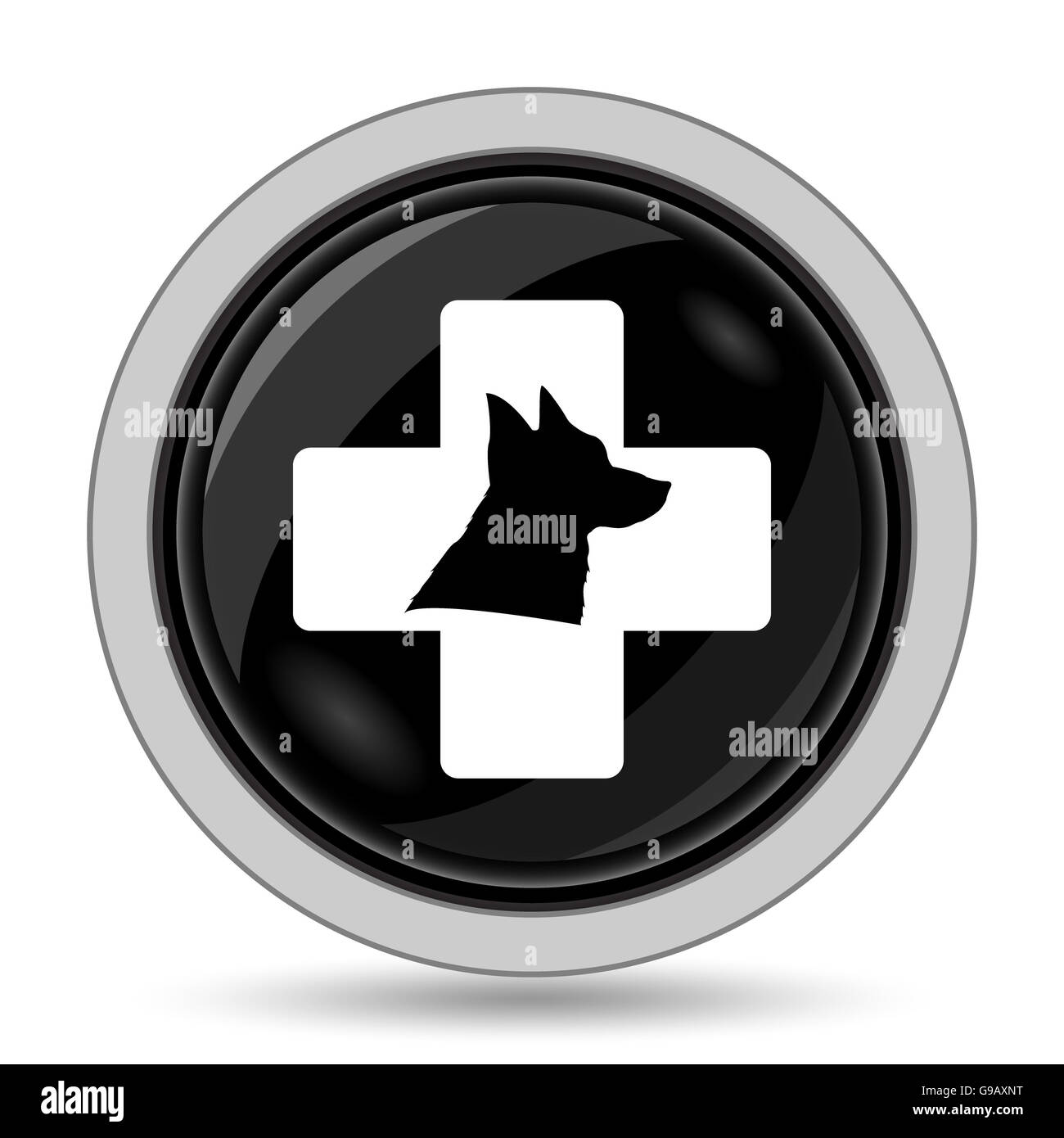 Veterinary icon. Internet button on white background Stock Photo - Alamy