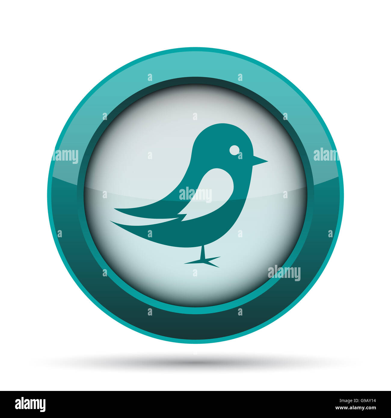 Bird icon. Internet button on white background Stock Photo - Alamy