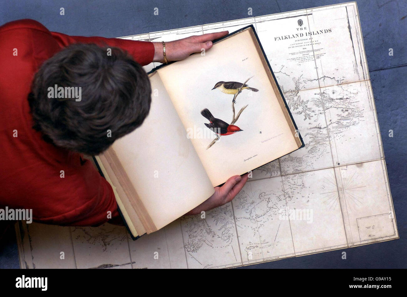 Charles darwin beagle map hi-res stock photography and images - Alamy