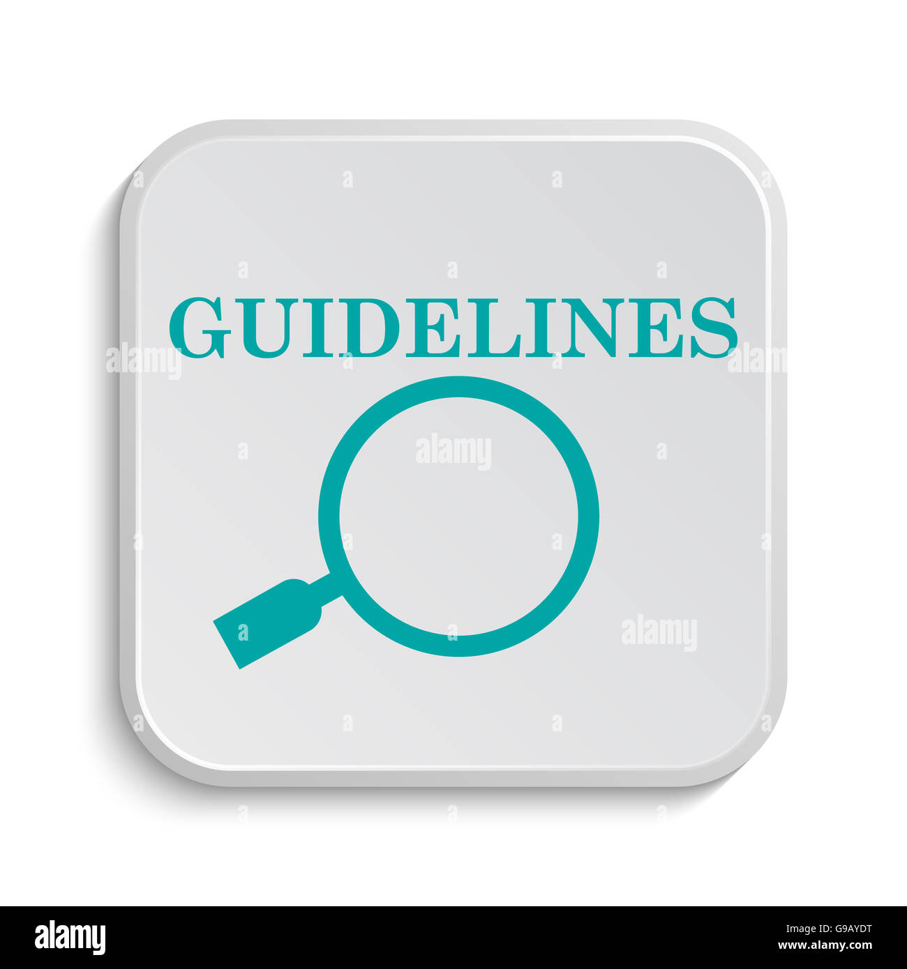 Guidelines icon. Internet button on white background Stock Photo - Alamy