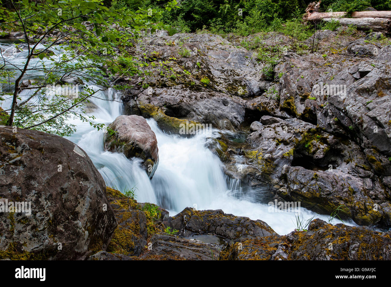 Sol Duc High Resolution Stock Photography and Images - Alamy