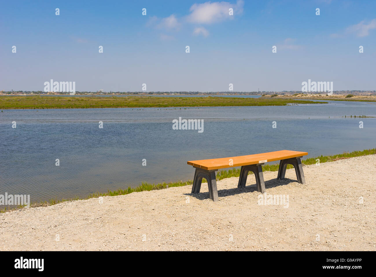 Bench set up above the wetlands and swamp of ocean tidal pool Stock ...