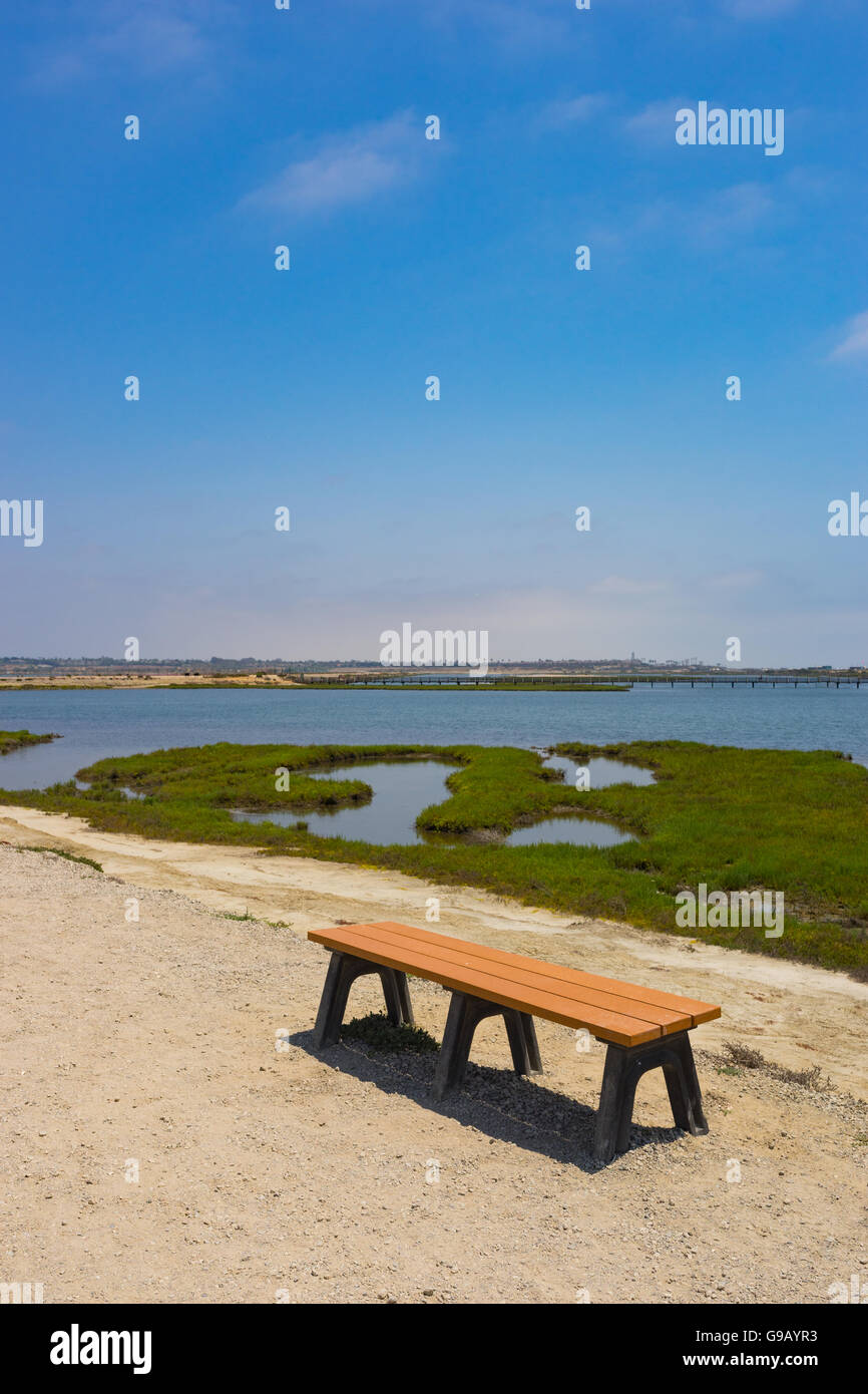 Wooden park bench on sandy walking trail in a wetland nature preserve ...