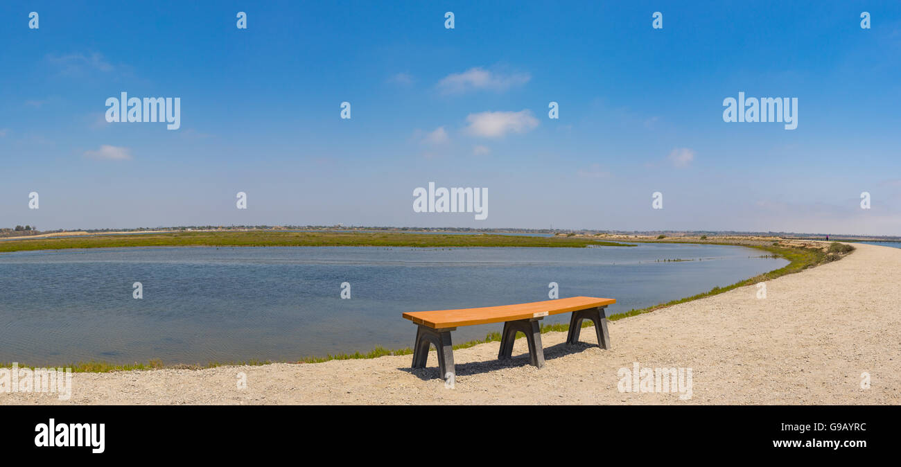 Bench walking path and wetlands through swamp into tidal pool Stock ...