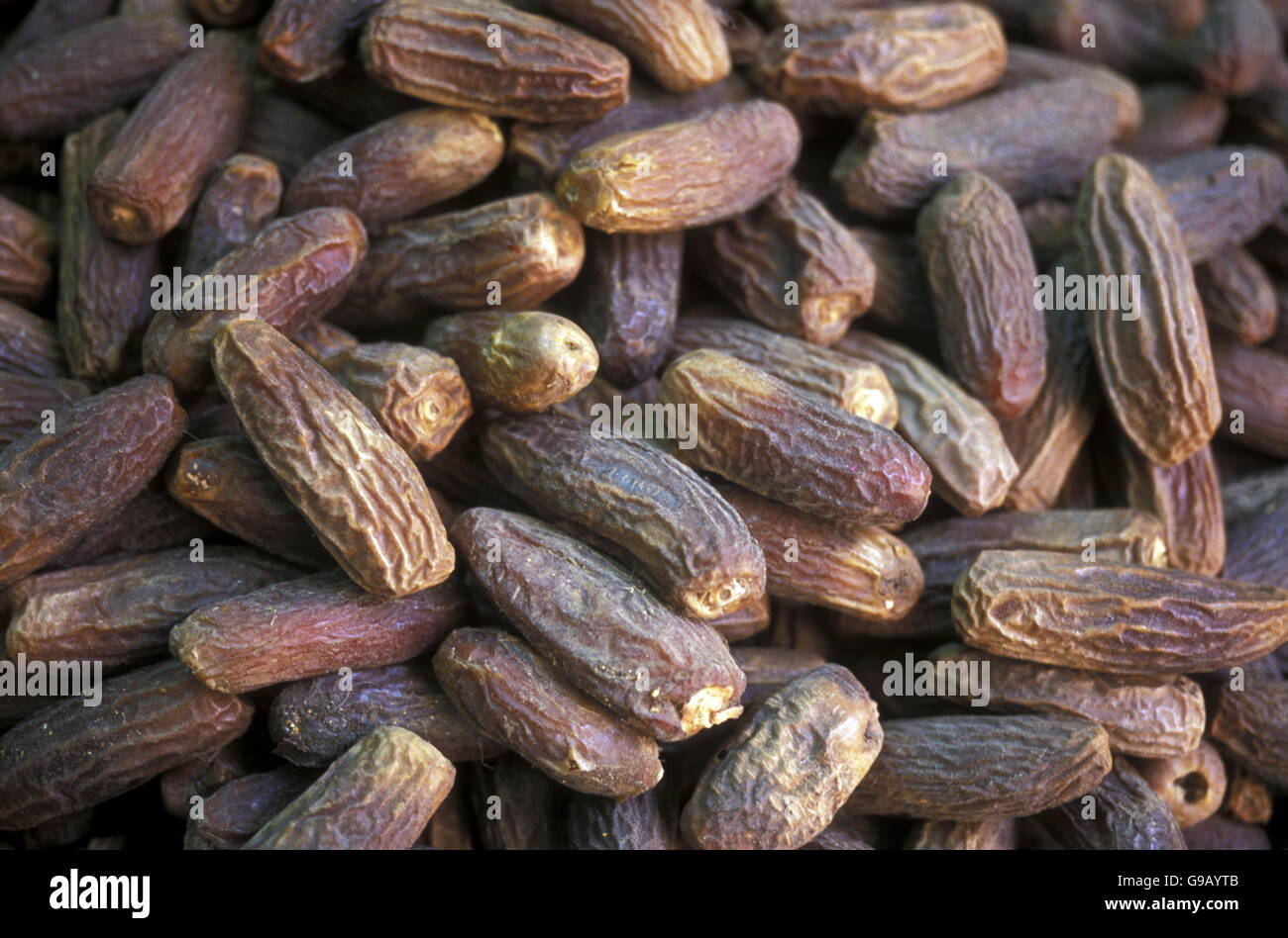 dates at the market in the Oasis and village of Siwa in the lybian or ...