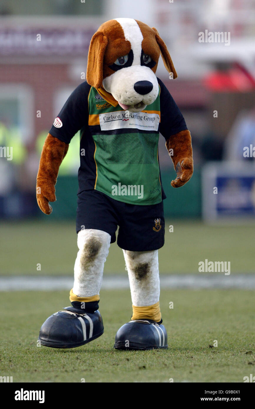 Northampton saints mascot hi-res stock photography and images - Alamy