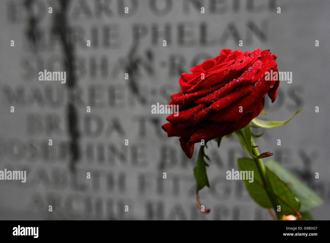 A single red rose is placed on the memorial on Talbot Street in Dublin ...