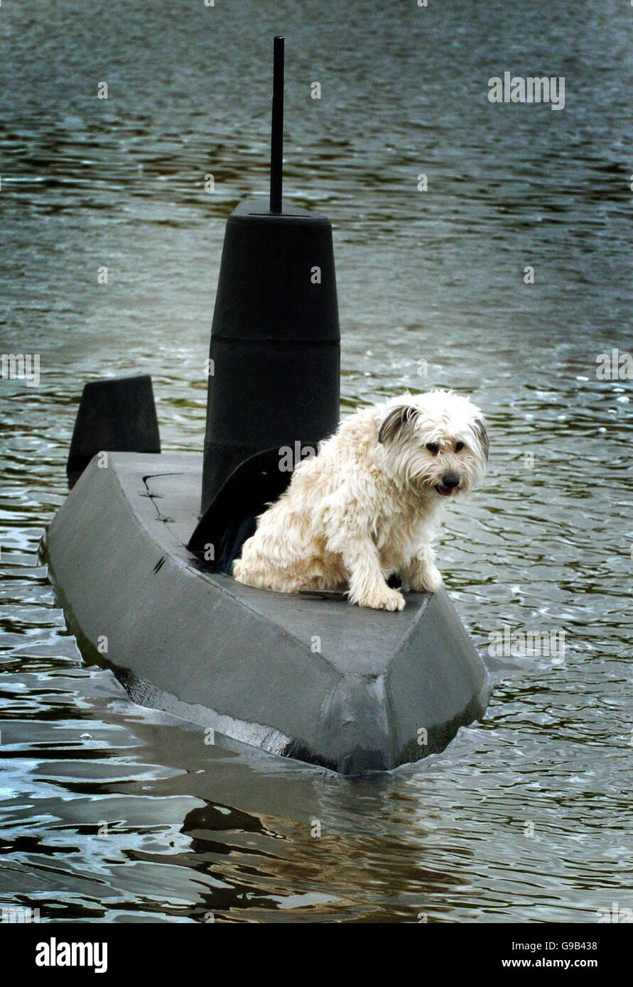 Lotty the dog travels on a mini-submarine on the Forth and Clyde canal ...