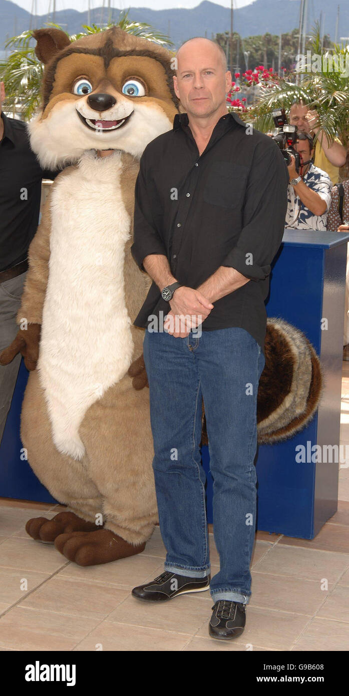 Who provides voice rj racoon hi-res stock photography and images - Alamy