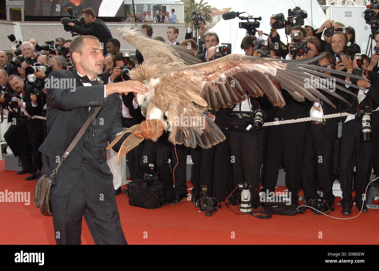 A vulture arrives for the premiere of Over The Hedge, a new animated ...