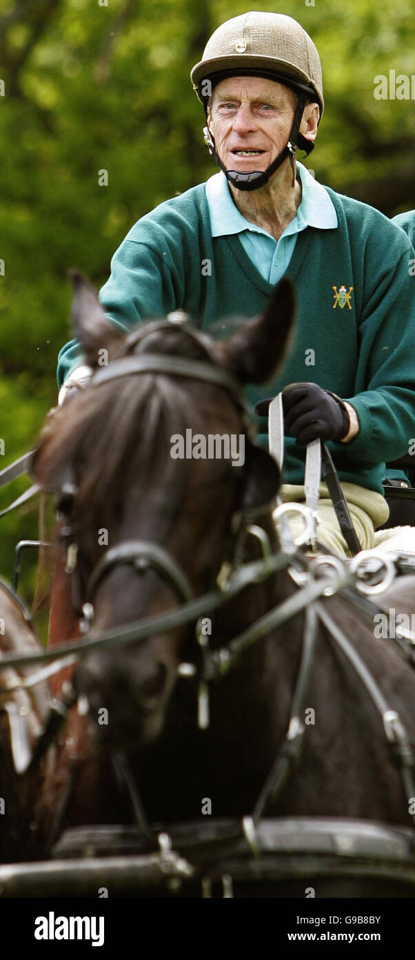 Pony in estate hi-res stock photography and images - Alamy