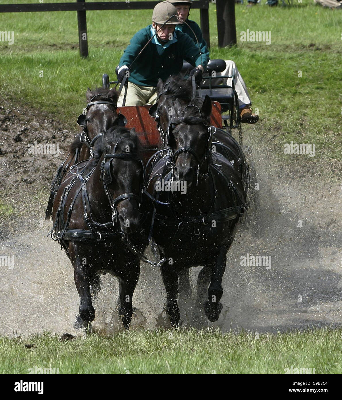 The Duke of Edinburgh with his Fell pony team taking part in the 2006 ...