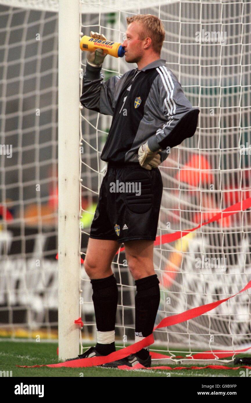 Soccer - Friendly - Denmark v Sweden. Magnus Hedman, Sweden goalkeeper ...