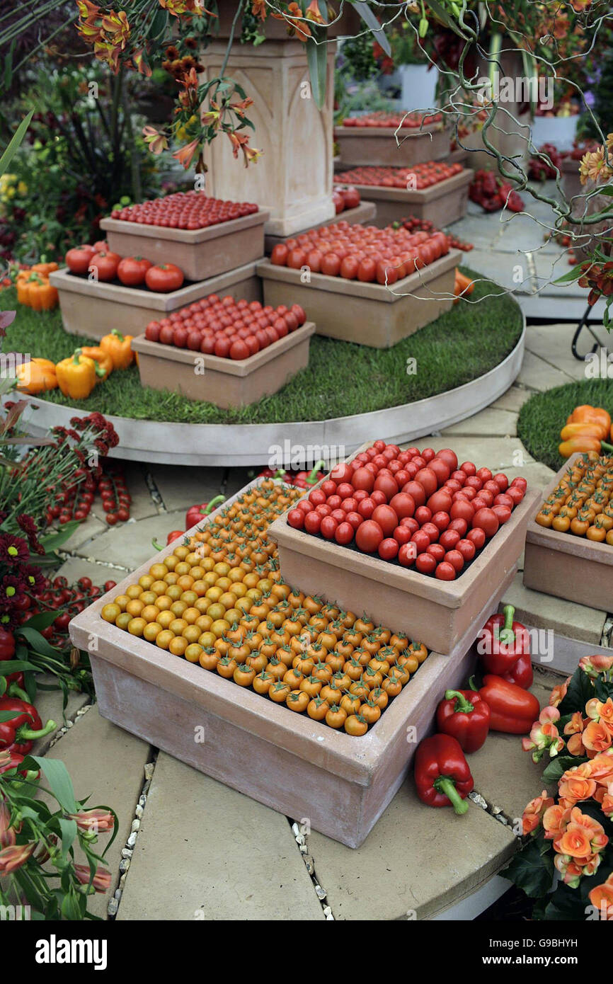 Various vegetables on display at Chelsea Flower Show juxtaposed with ...
