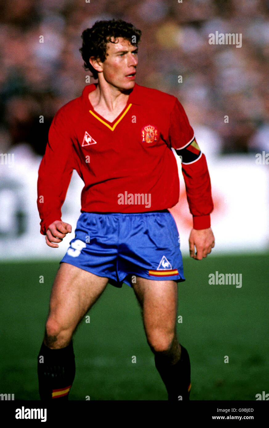 Soccer - Republic of Ireland v Spain Stock Photo - Alamy