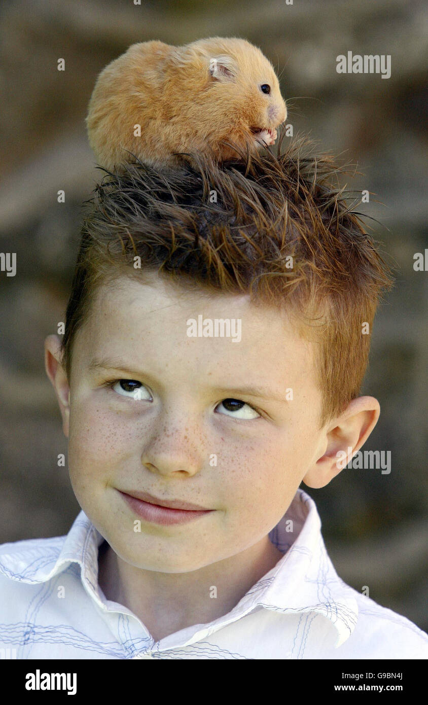 Liam Bull, 9, from Mold, north Wales with Mike the hamster which ...