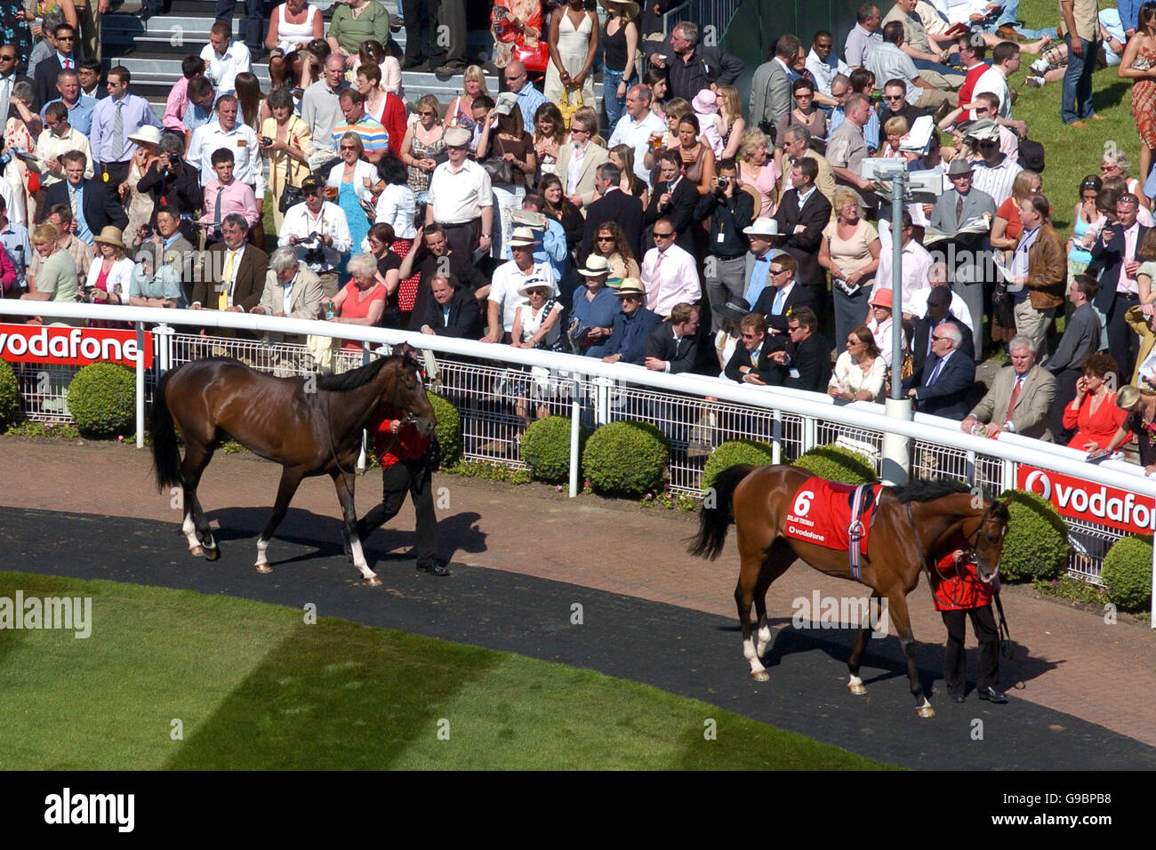 General view of the parade ring at epsom downs racecourse hi-res stock ...