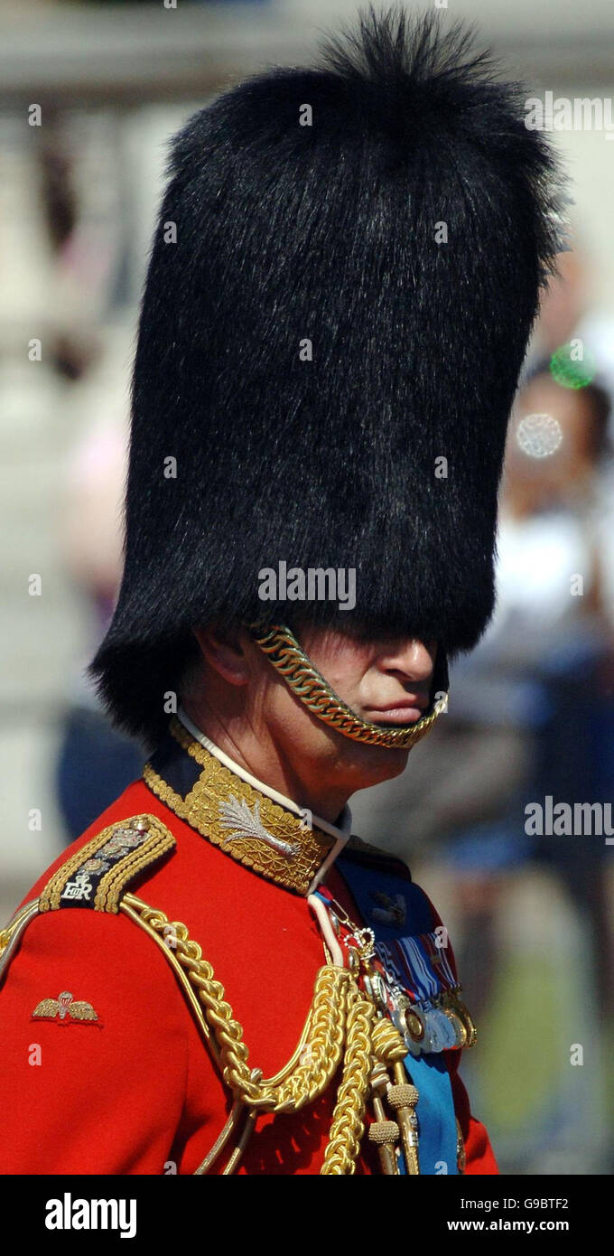 The Prince of Wales, also Colonel of the Welsh Guards, during the ...