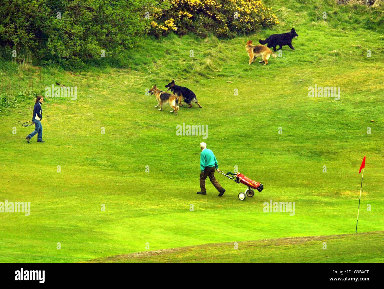 Braid hills golf hi-res stock photography and images - Alamy