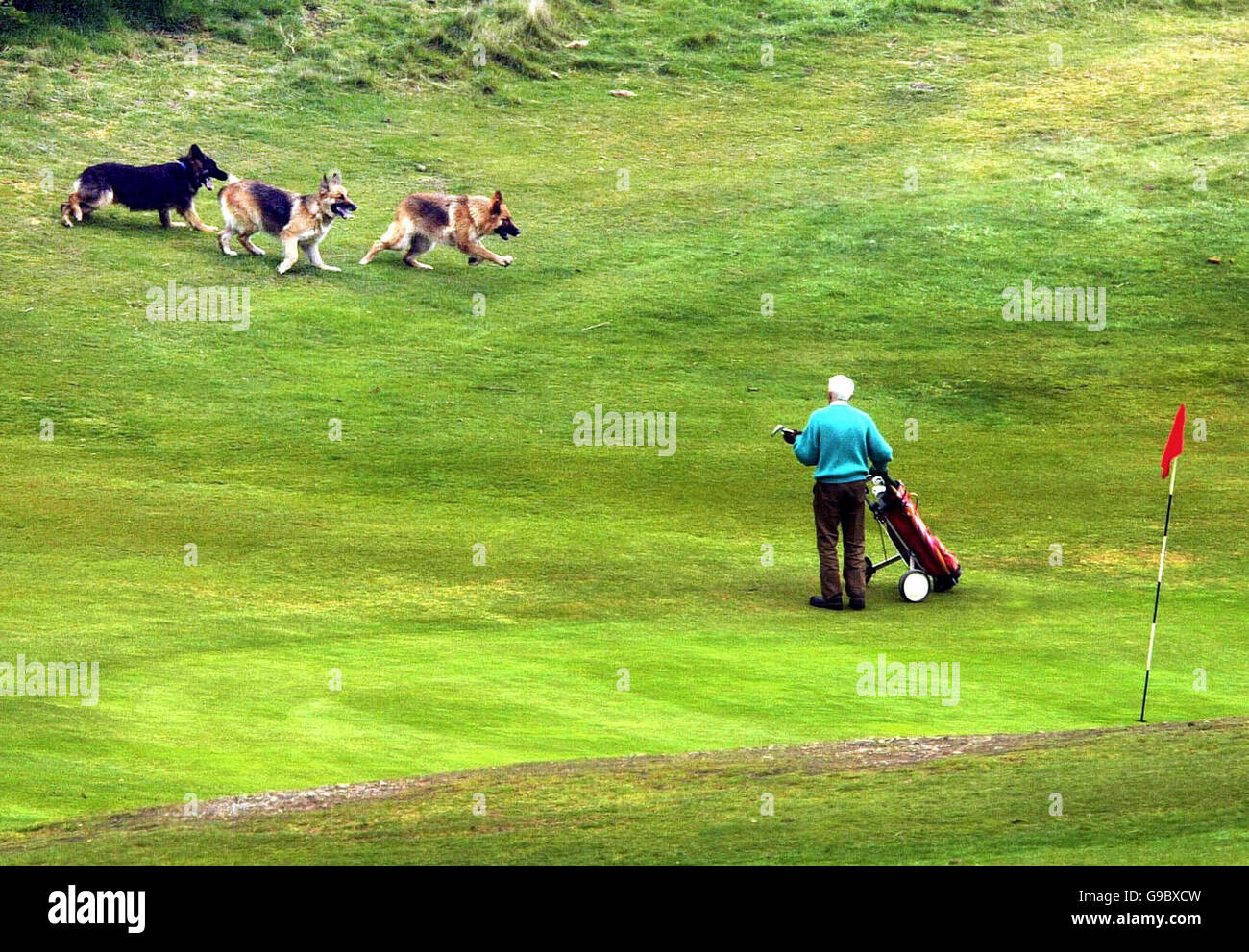 Braid hills golf hi-res stock photography and images - Alamy