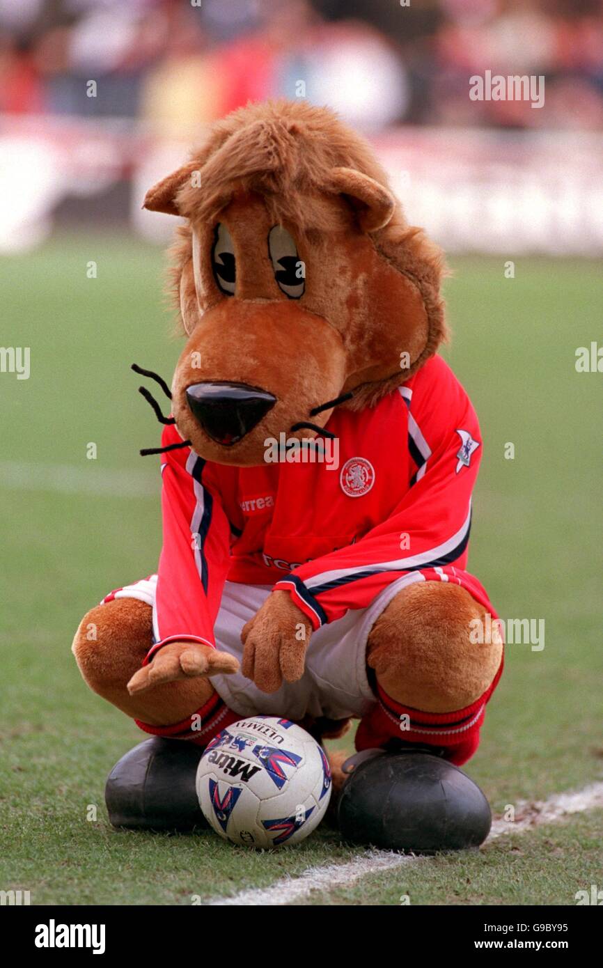 Roary lion hi-res stock photography and images - Alamy