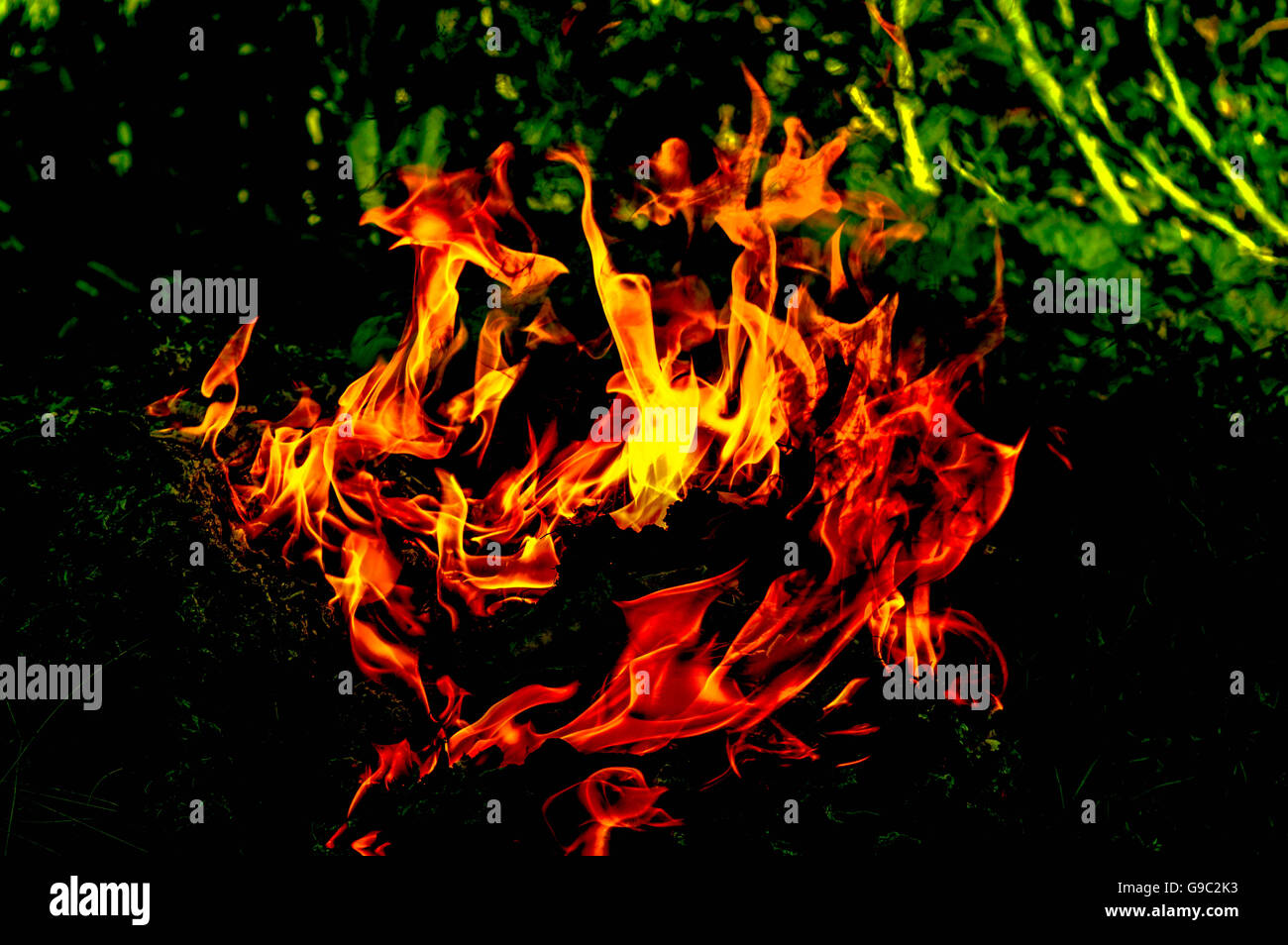 Fire captured behind cornfield Stock Photo - Alamy